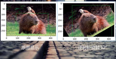 目标检测：数据增强之旋转任意角度，按指定颜色填充四角代码可直接运行旋转后的图片填充四角区域 Csdn博客