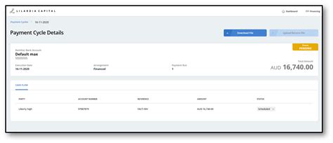 Execute Payment Cycle User Manual