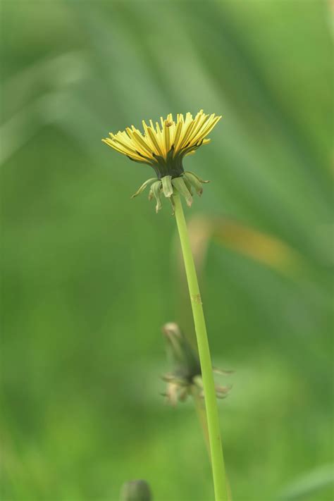 Irek Marcinkowski Photography
