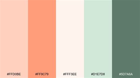 Pastel Orange Color Combinations 20 Picks Hex