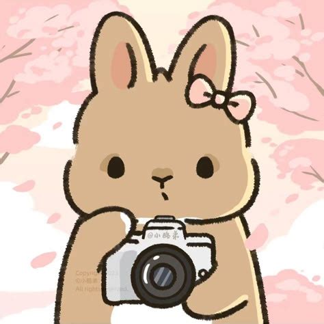 Cute Bunny Pfp