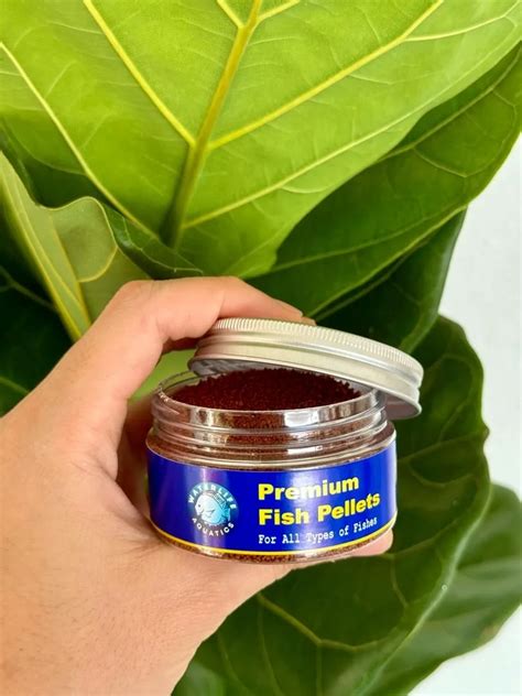 Premium Fish Pellets Buy Fish Meal Pellets32 Protein Fish Mealhigh