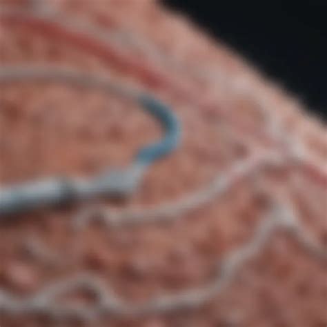 Chronic Interstitial Opacities A Detailed Overview