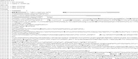 Not Print Hex Data Programming Arduino Forum