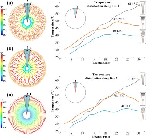 Temperature Distribution Along The Edge Of The Sector And Symmetry Axis Download Scientific