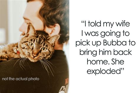 “her Or The Cat” Man Asks For Advice After Wife Who Went Through