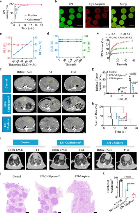 Tumor Vessel Adaptable Adhesive And Absorbable Microspheres For Sustainable Transarterial