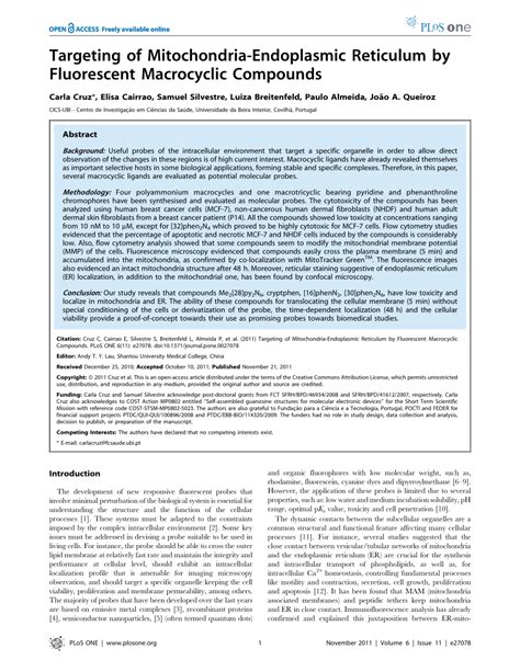 Pdf Targeting Of Mitochondria Endoplasmic Reticulum By Fluorescent