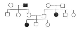 EXERCISE II Sex Determination Genetic Disorders From AAKASH SERIES PRINCIPLES OF