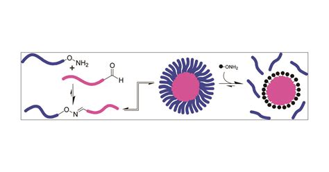 Dynamic Covalent Diblock Copolymers Prepared From Raft Generated