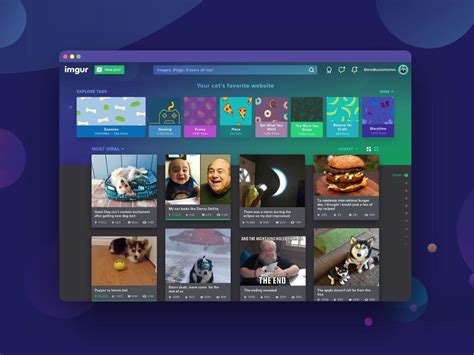 Find Your Perfect Alternative To Imgur And Make Image Hosting Easier