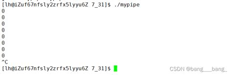 Linux 进程间通信（上篇）——匿名管道（管道原理，实现示例，端口情况探究！！） Csdn博客