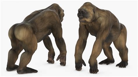 Big Ape Gigantopithecus Stands On Four Limbs 3d Model 3d Molier