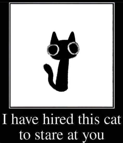 I Just Realized I Didnt Water Freddrick… R Crazyidea