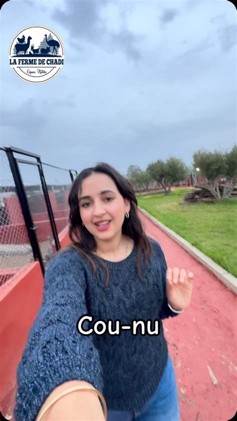 La Ferme De Chadi Lafermedechadi • Instagram Photos And Videos