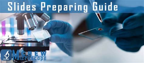 How To Prepare Microscope Slides Microscope Crew