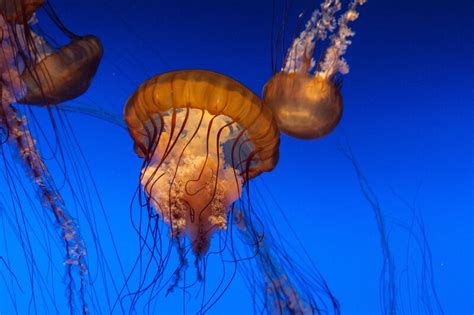 Melissa Dewees Posted On Linkedin