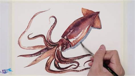 Hi View 73 How To Draw A Squid Step By Step Easy For Beginners Giant Squid Drawing Squid