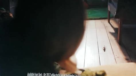 Kinder Egg Slammed By Viewers For Sexist Tv Advert Its Just Wrong