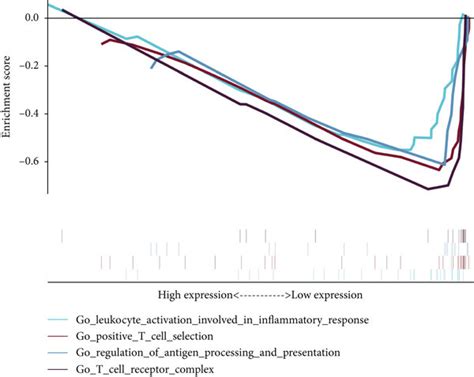 A Gsea Demonstrated That The Apical Junction Complexrelated Gene