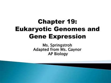 Ppt Chapter 19 Eukaryotic Genomes And Gene Expression Powerpoint