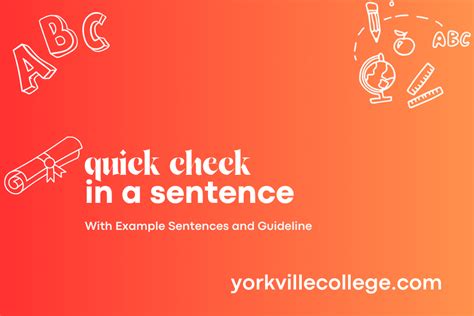 How To Use Quick Check In A Sentence Easy Examples