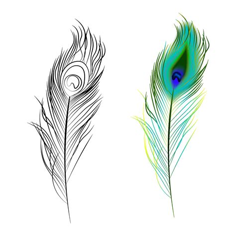 Bright Multi Colored And Black And White Peacock Feather Design