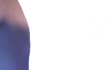 Shira Butt By Dracoawesomeness On Deviantart