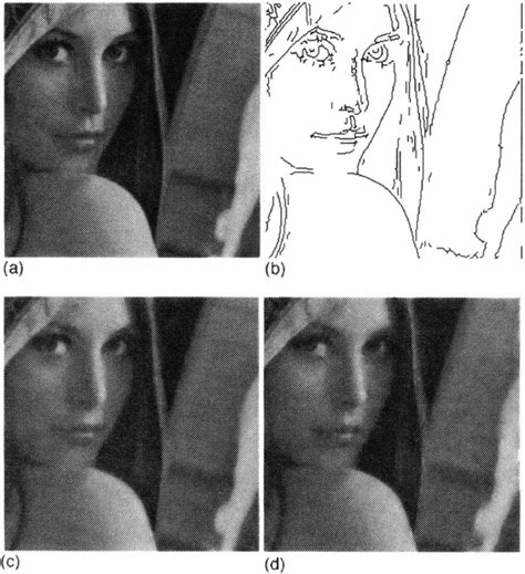 a original image b sampling points of the wavelet energy