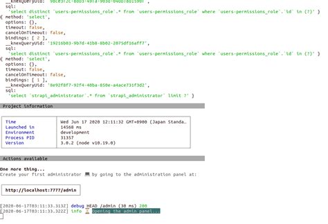 Nodejs The New Strapi 302 Application Cant Be Started In Server