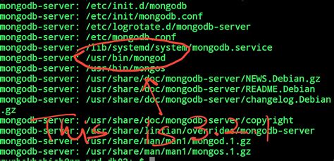Ubuntu Upgraded Mongodb To 343 But Mongod Version Still Shows 32