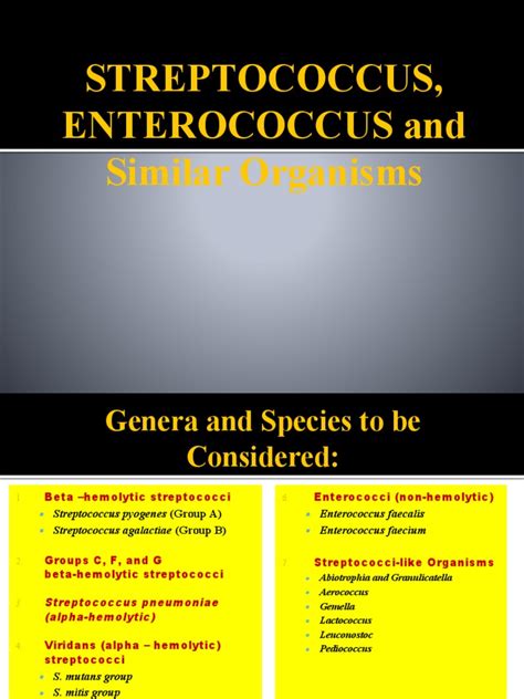 Streptococcus And Enterococcus Pdf Streptococcus Microbiology