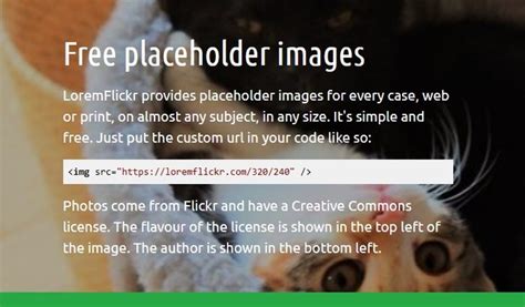 Best Free Placeholder Image Generators Online
