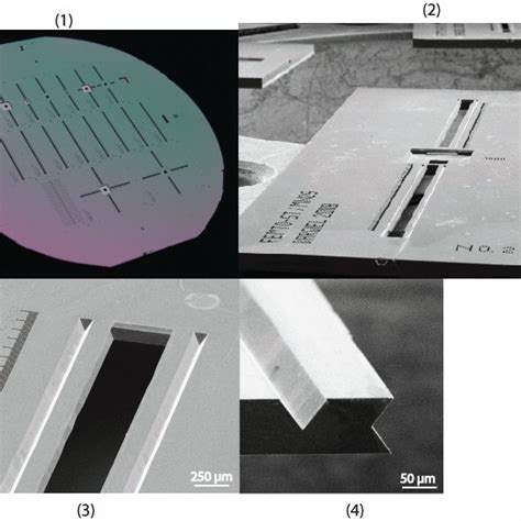 Microfabricated Substrate Using Drie And Koh Etching 1 General View