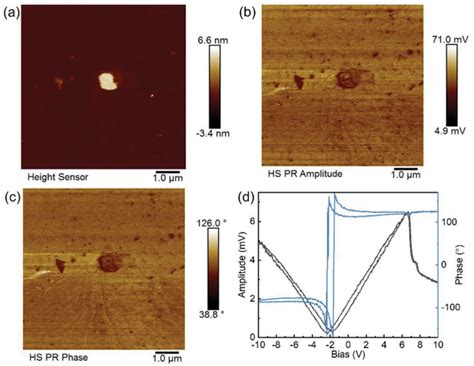 A Topography B In‐plane Amplitude C Phase Image And D