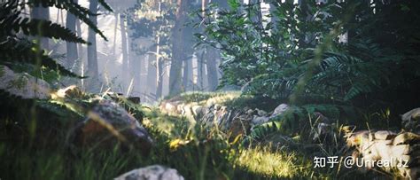 ue 虚幻引擎 程序化生成插件 pcg procedural content generate 知乎