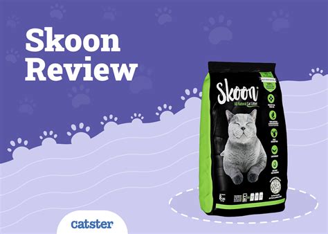 Skoon Cat Litter Review 2026 Recalls Pros And Cons Catster