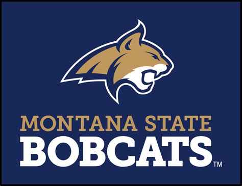 Montana State Logo