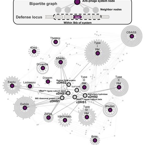 Figure S1 The Abundance Of Each Antiphage System In All Genomes