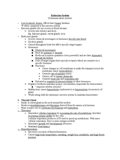 Endocrine System Notes Pdf Adrenal Gland Thyroid