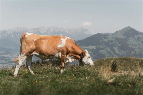 4k Emo Bart Simpson Photos Download The Best Free 4k Emo Bart Simpson