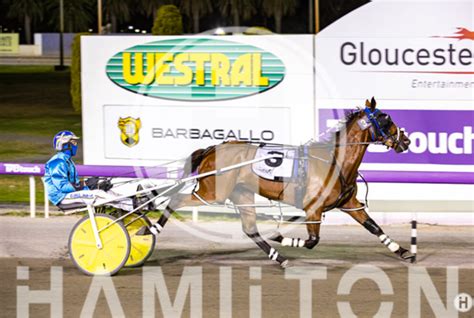 August Moon Resumes In Style Gloucester Park Harness Racing