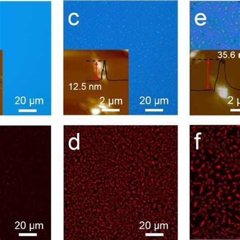 Fig S4 The 1d Giwaxs Plots Of Idtbt Films Along Out Of Plane