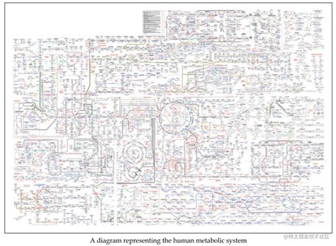 neo4j learning overview of graph theory moment for technology