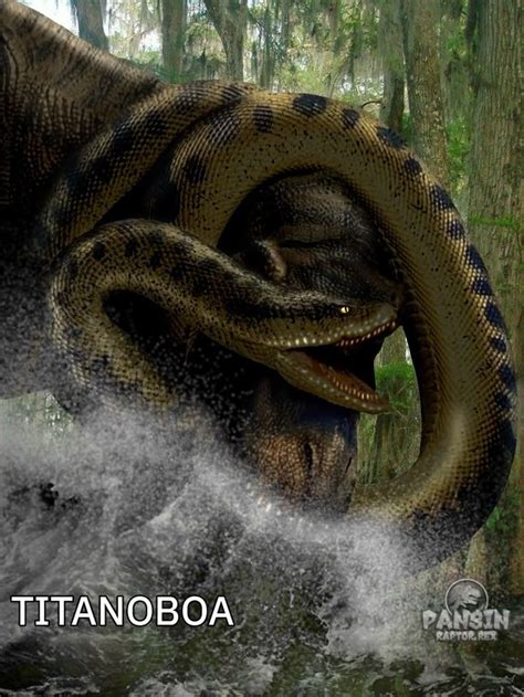 Titanoboa Vs Trex ไดโนเสาร์