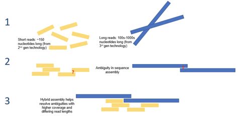 Biochemical Identification Of Microorganisms