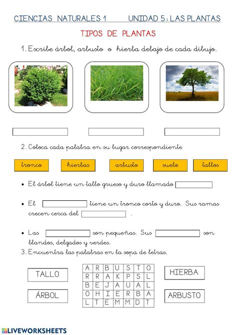 Ficha Online De Las Plantas Para Primero De Primaria Puedes Hacer Los