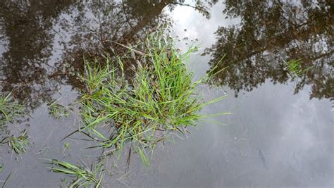 Annual Report Gassnova Climit Tcm And Full Scale Project