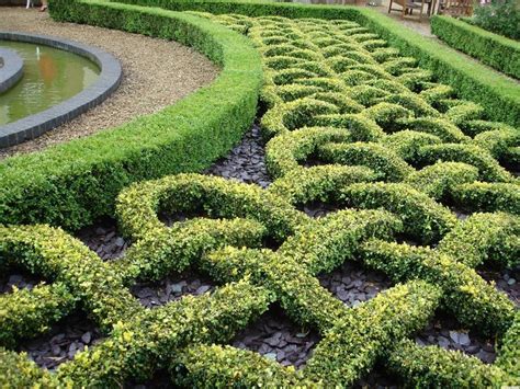 Best Plants For Knot Garden At Oscar Ross Blog