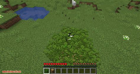Passable Foliage Mod 1192 1182 Remove Collision From Leaves Mc Modnet